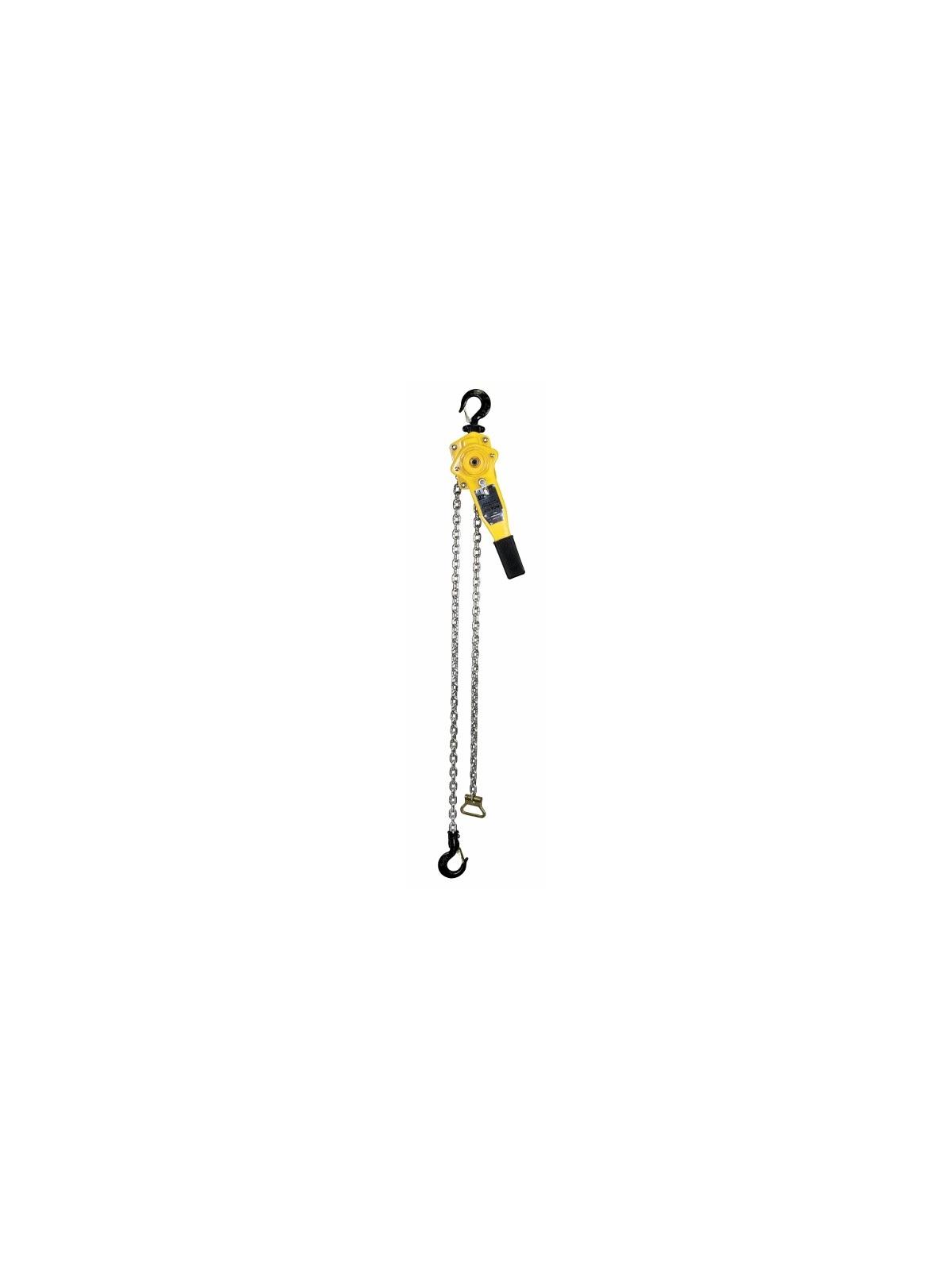 Lever Hoist With Overload ProtectionMotion Savers